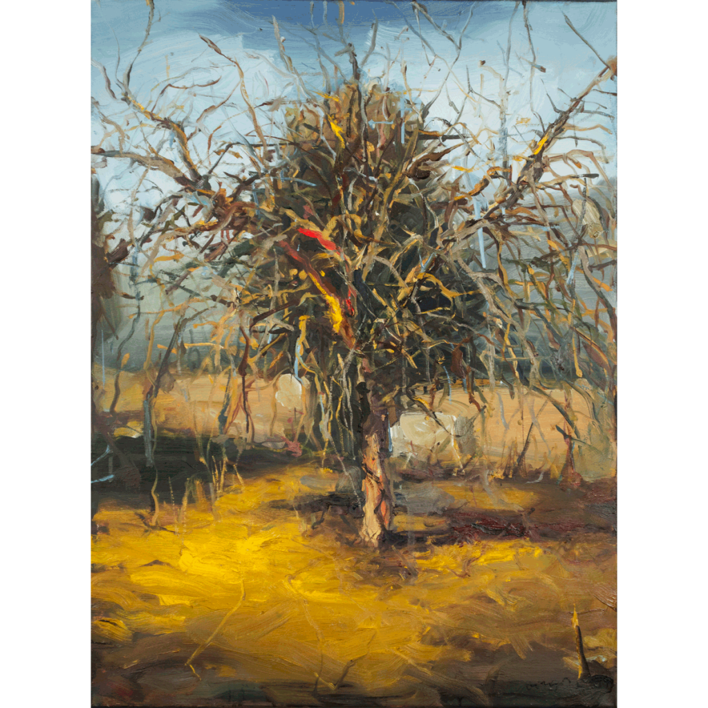 Augalas | Eglės galerija